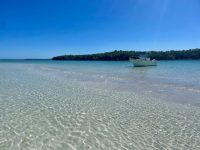 Home of Key West's famous sandbar trip